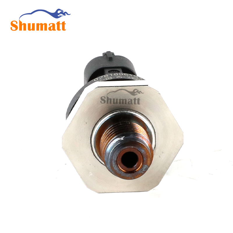 China Made New Common Rail 0281006191 Diesel Fuel Pressure Sensor ...